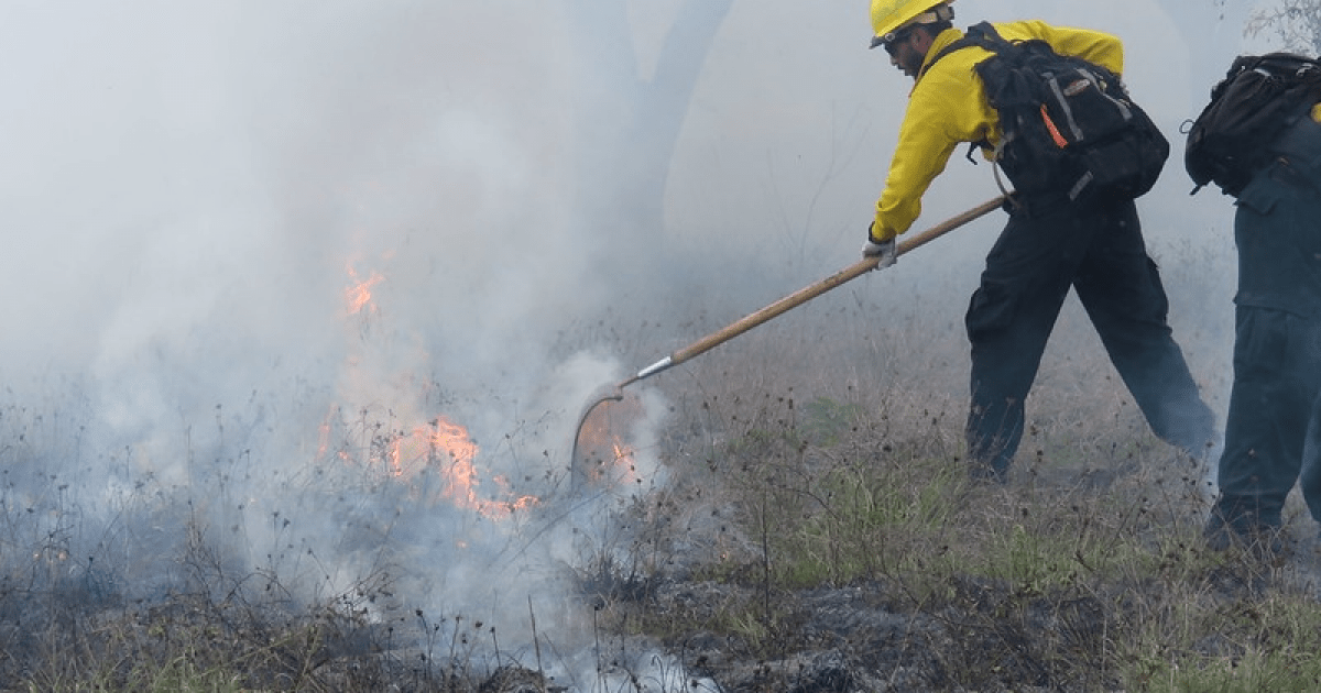 NASA Grant to Support Prescribed Fire Mapping in the Everglades ...