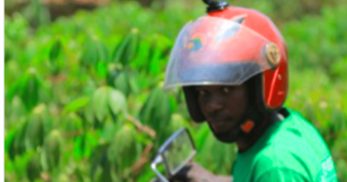 Helmets Labeling Crops: A New Frontier in Agricultural Monitoring ...