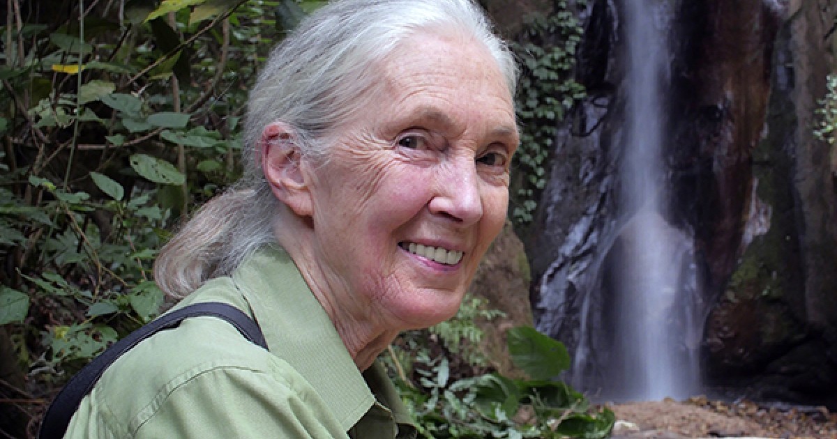 Renowned Conservation Champion Dr. Jane Goodall to Speak at UMD ...