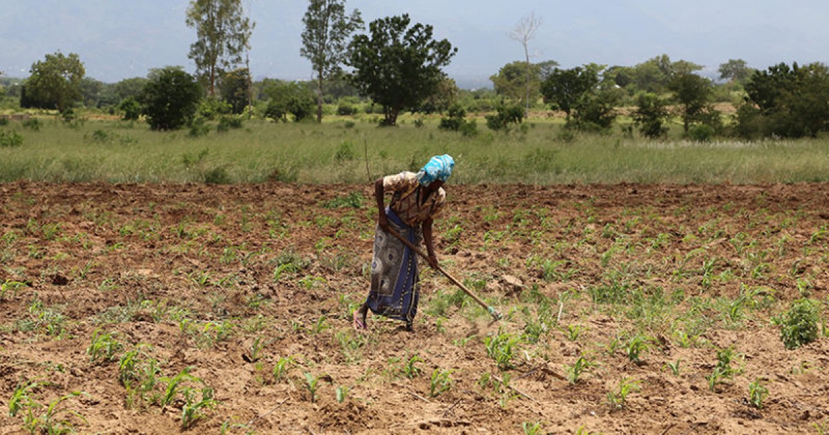 AGU EOS Features GEOG Researchers: Sowing Seeds of Food Security in ...